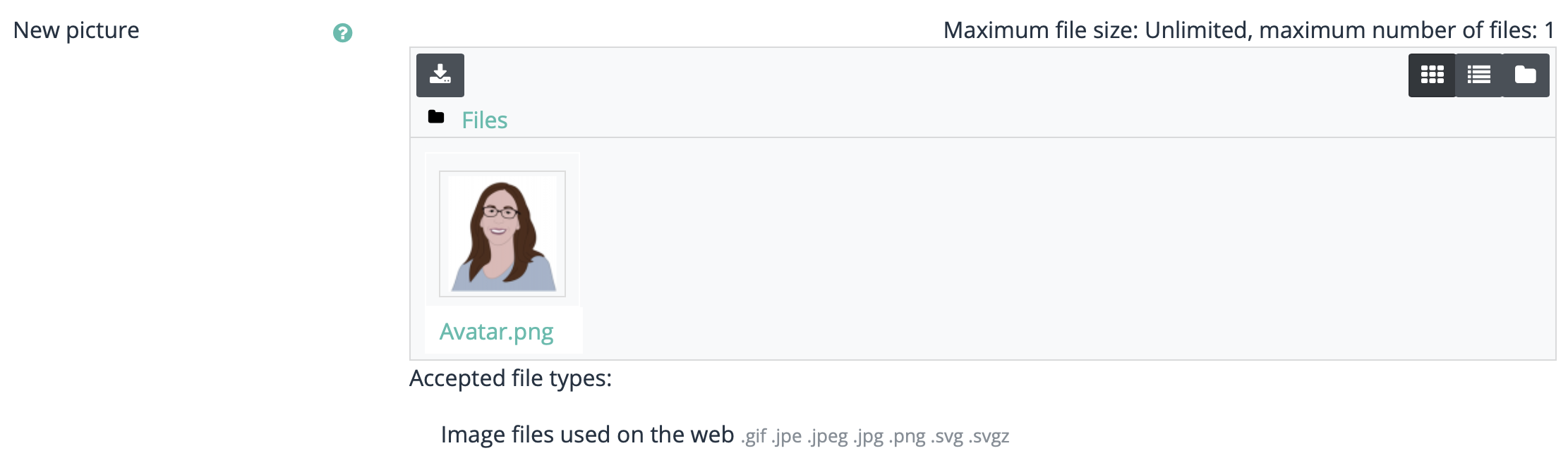 How do I add my profile picture to my account?