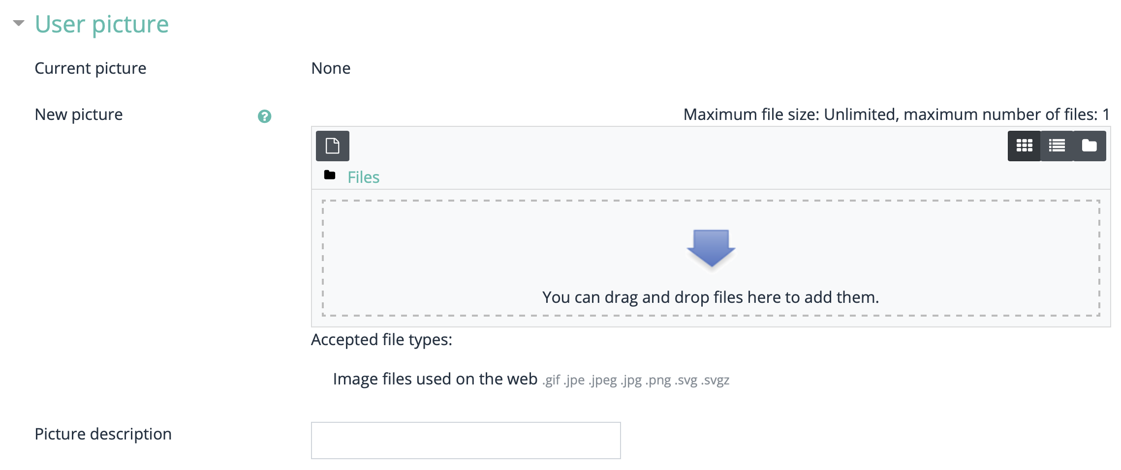 How do I add my profile picture to my account?