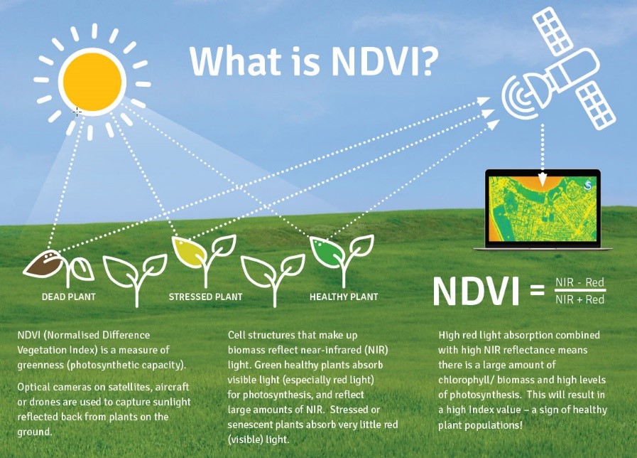 Ndvi