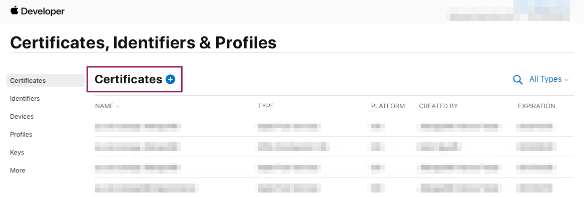 Apple Pay - Stripe: Setup