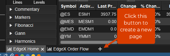 Viewing your Positions and Account Details within EdgeProX