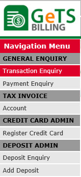 How can I check and download Daily Transaction Summary Details?