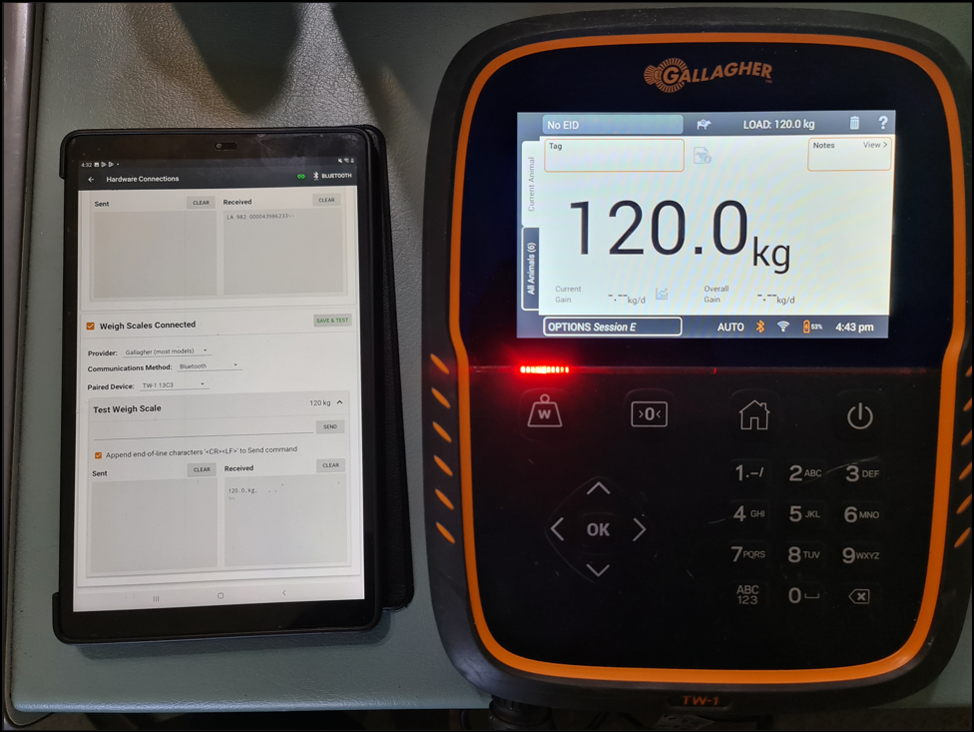 Setup Gallagher TW-1, TWR-1, TW-3, TWR-5 Weigh Scale (app)
