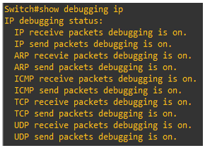 FAQ: What are some quick Troubleshooting Commands for all ICCN Switches?