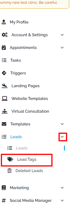 How To Create A New Lead Tag And Assign It?